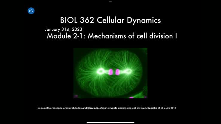 IRC 3 - BIOL 362 201 - 2022W2 on 1/31/2023 (Tue)
