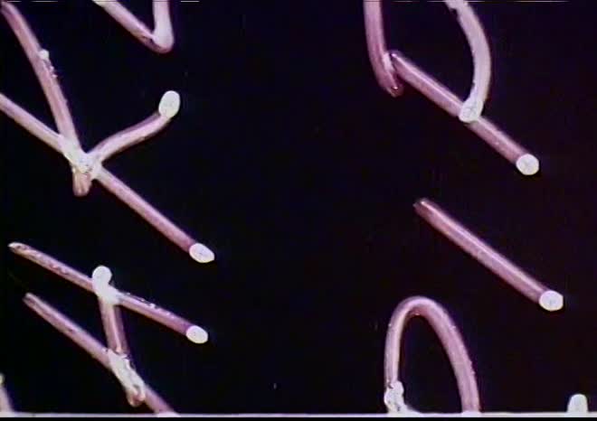 MI251.147-Chasing_the_Sun-April_14_1994