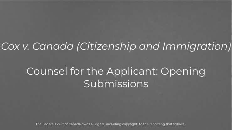 1. Counsel for the Applicant – Opening submissions