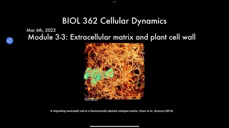IRC 3 - BIOL 362 201 - 2022W2 on 3/7/2023 (Tue)