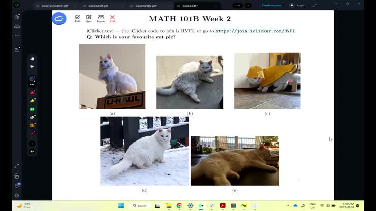 IRC 2 - MATH 101 2B1 - 2022W2 on 1/18/2023 (Wed)