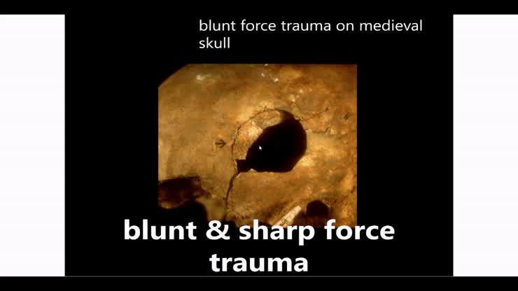 IRC 2 - ARCL 228 001 - 2021W1 on 11/19/2021 (Fri)