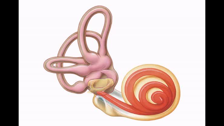 IRC 2 - CAPS 391 001 - 2022W2 on 4/5/2023 (Wed)