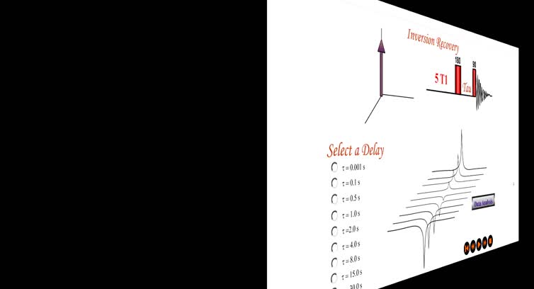 T1 Inversion Recovery