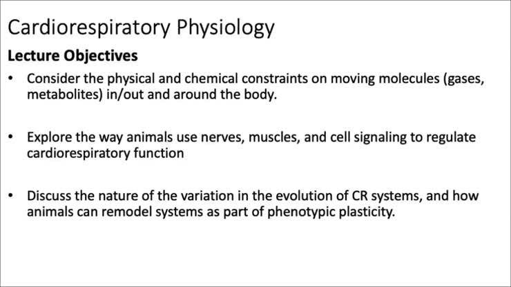 Cardiorespiratory Physiology 1